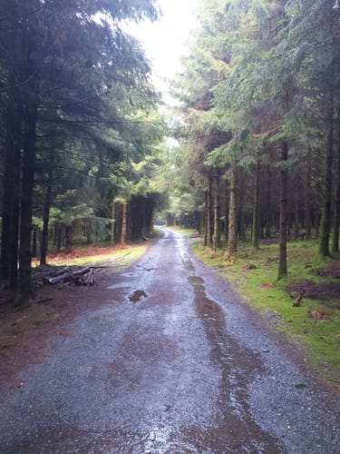 2023 Best 10 Walking Trails in Haute-Sûre Forêt d'Anlier Nature Park ...