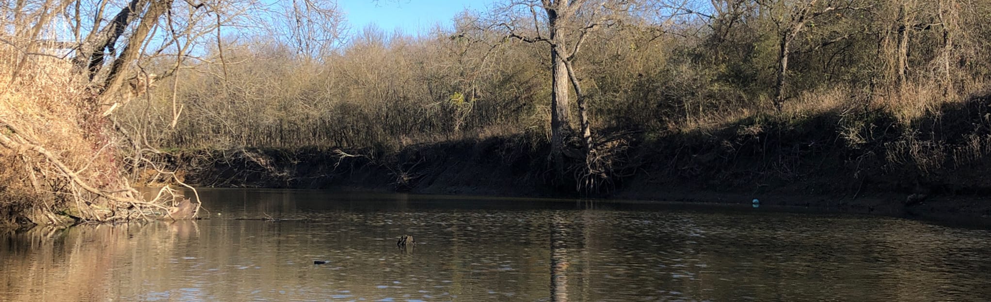 Walnut Creek Trail: 21 fotos - Texas | AllTrails