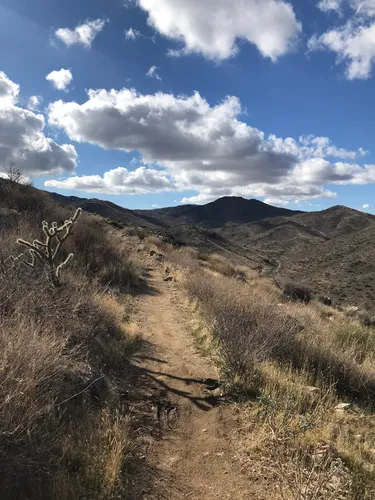 Best Hard Trails in Waddell | AllTrails