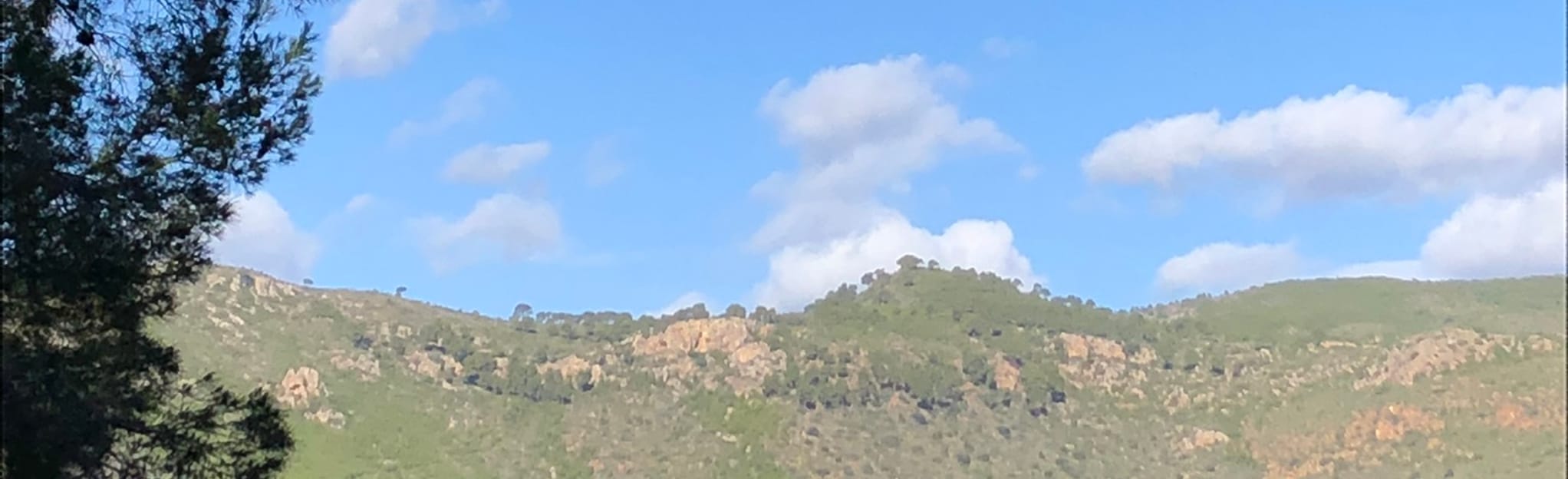 Ruta amarilla: Portaceli | Map, Guide - Valencia, Spain | AllTrails