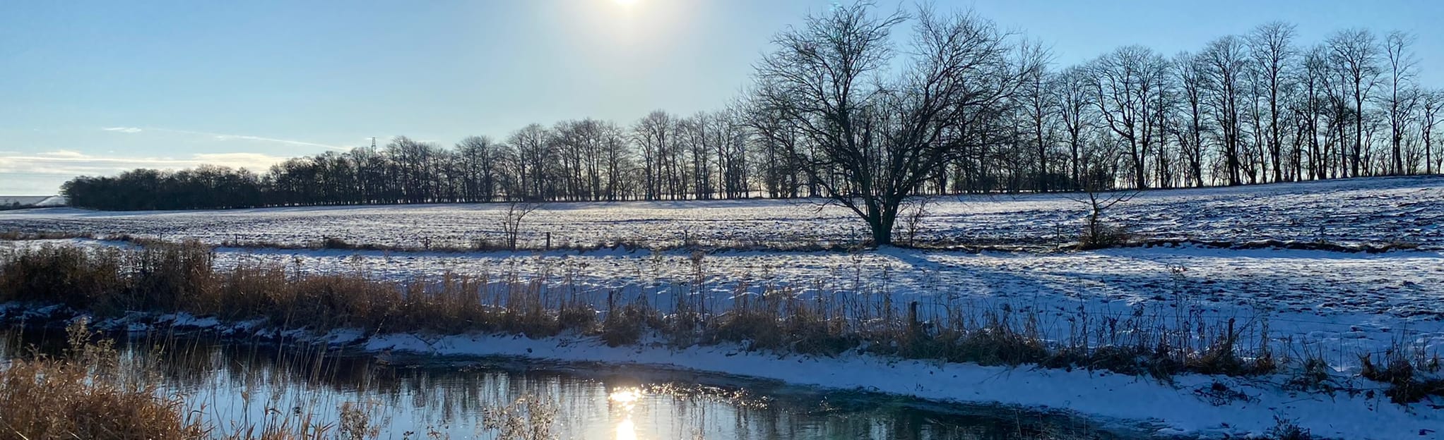 Ringsted Å Hjertesti, Zealand, Denmark - 5 Reviews, Map | AllTrails