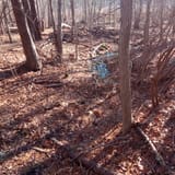 Peconic River, New York - 37 Reviews, Map | AllTrails