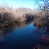Peconic River, New York - 37 Reviews, Map | AllTrails