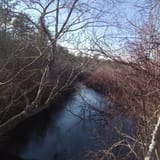 Peconic River, New York - 39 Reviews, Map | AllTrails