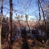 Peconic River, New York - 39 Reviews, Map | AllTrails