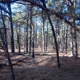 Peconic River, New York - 39 Reviews, Map | AllTrails