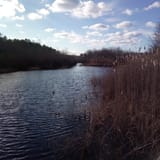 Peconic River, New York - 39 Reviews, Map | AllTrails