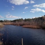 Peconic River, New York - 39 Reviews, Map | AllTrails