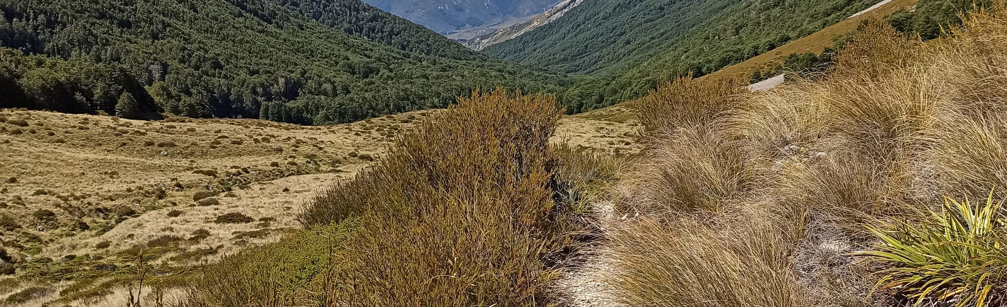 Cass-Lagoon Saddle Track: Cass Saddle Hut to Hamilton Hut, Canterbury ...