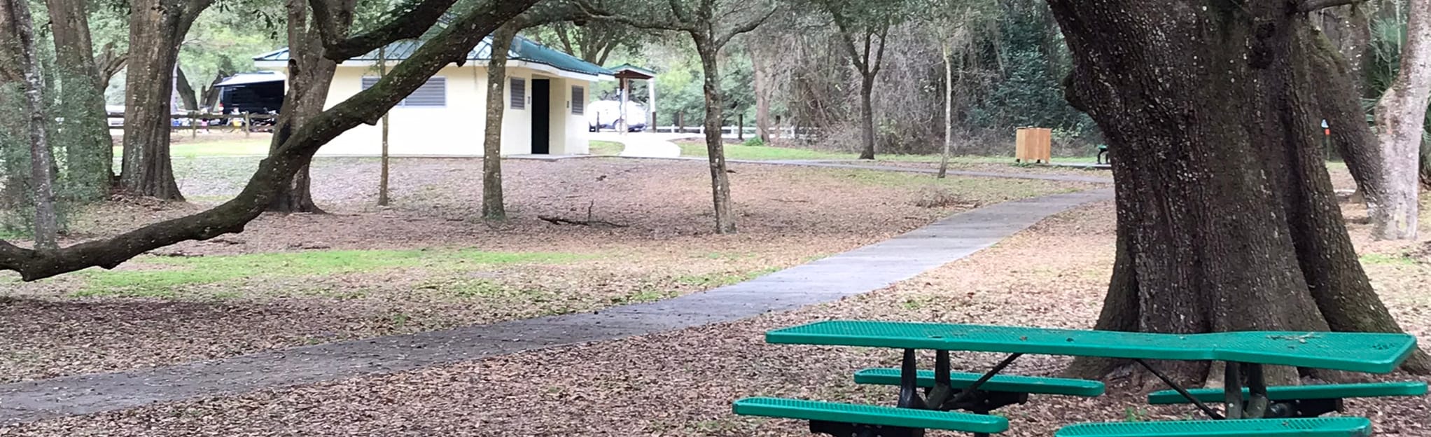 Cross Florida Greenway: Land Bridge Section Loop, Florida - 328 Reviews ...