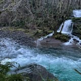 Wilson River Trail, Oregon - 18 Reviews, Map | AllTrails