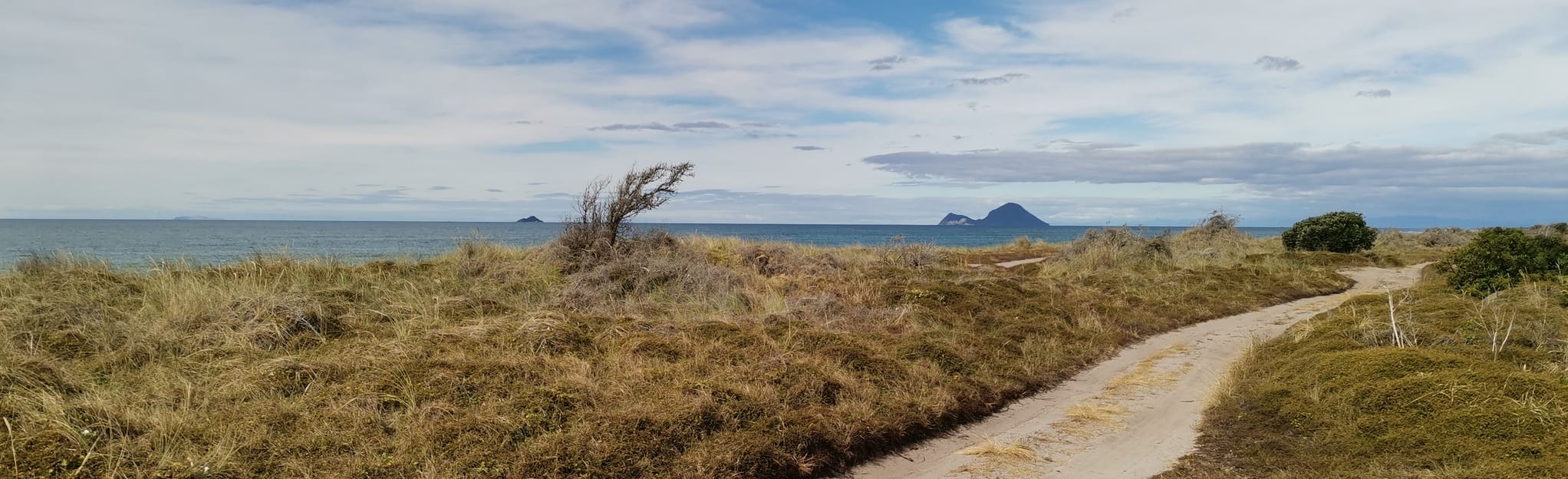 Matata Lagoon Track: 10 foto's - Bay of Plenty, Nieuw-Zeeland | AllTrails