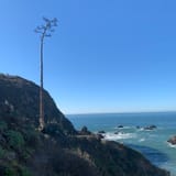 Muir Beach to Point Bonita Lighthouse, California - 162 Reviews, Map ...