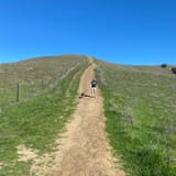 Meyer's Ranch and High Ridge Loop, California - 292 Reviews, Map ...