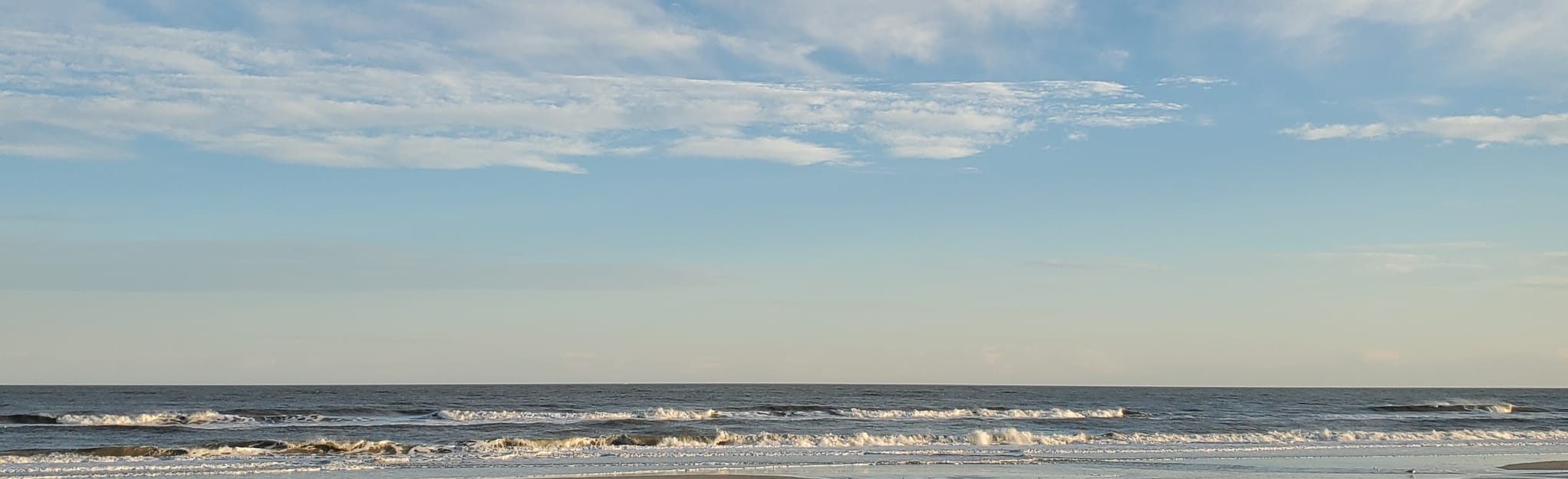 Brigantine Island: 24 fotos - Nova Jérsia | AllTrails