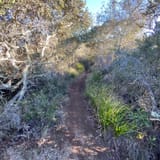 Prefumo Canyon Vista Point Trail, California - 234 Reviews, Map | AllTrails