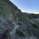Prefumo Canyon Vista Point Trail, California - 258 Reviews, Map | AllTrails