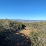 Prefumo Canyon Vista Point Trail, California - 234 Reviews, Map | AllTrails