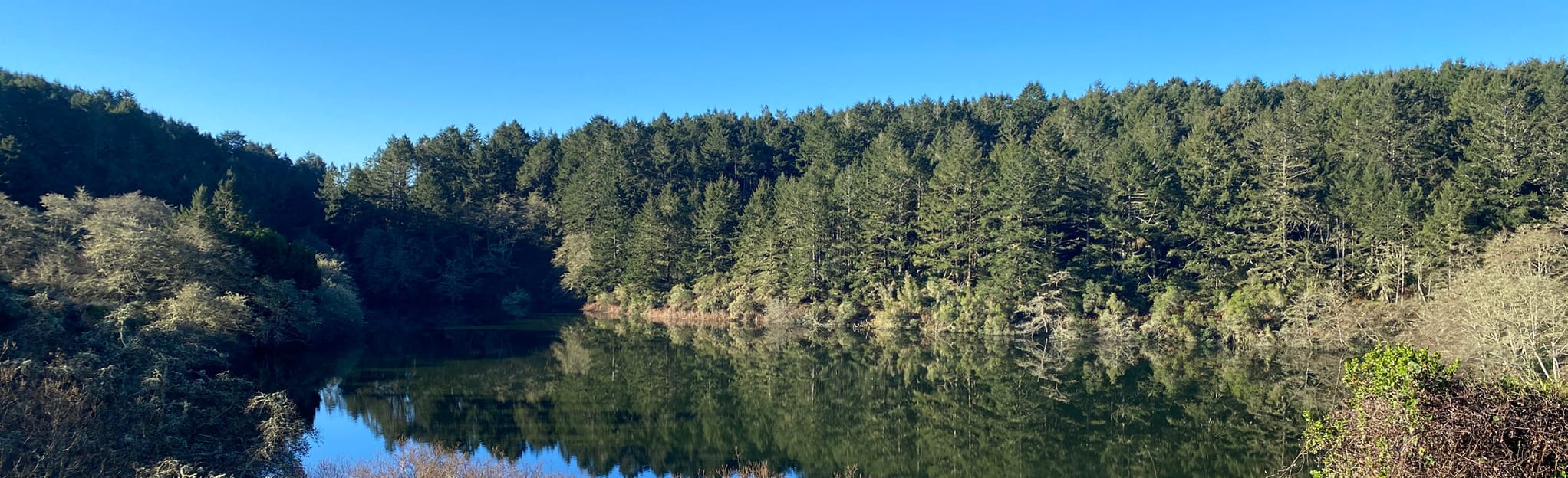 Olema Valley, Lake Ranch, Coast Trail, and Wildcat Campground Loop ...