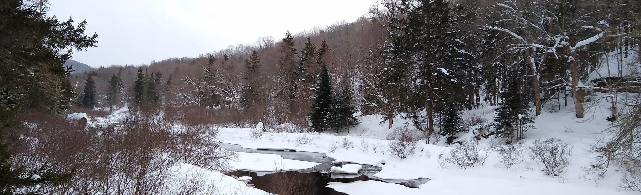 Goodnow Flow to Hudson River: 8 Reviews, Map - New York | AllTrails