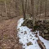 Mathews Arm Overall Run Trail, Virginia - 218 Reviews, Map | AllTrails