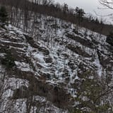 Mathews Arm Overall Run Trail, Virginia - 242 Reviews, Map | AllTrails