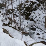 Mathews Arm Overall Run Trail, Virginia - 242 Reviews, Map | AllTrails