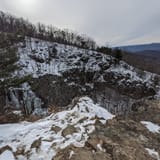 Mathews Arm Overall Run Trail, Virginia - 242 Reviews, Map | AllTrails