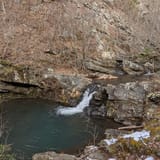Mathews Arm Overall Run Trail, Virginia - 242 Reviews, Map | AllTrails