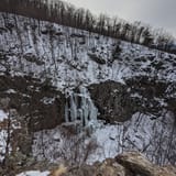 Mathews Arm Overall Run Trail, Virginia - 242 Reviews, Map | AllTrails