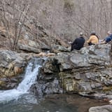 Mathews Arm Overall Run Trail, Virginia - 242 Reviews, Map | AllTrails