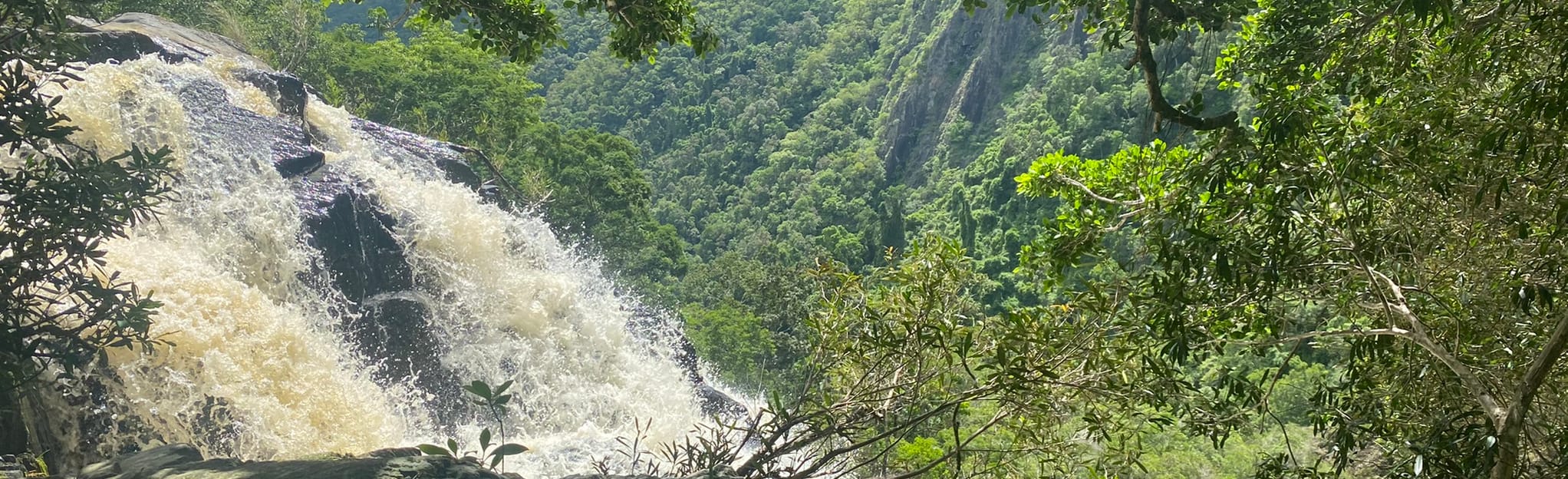 Mowbray Falls: 158 foto's - Queensland, Australië | Wandelen - AllTrails