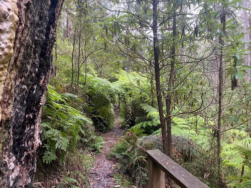 Best Historic Site Trails in Wombat State Forest | AllTrails