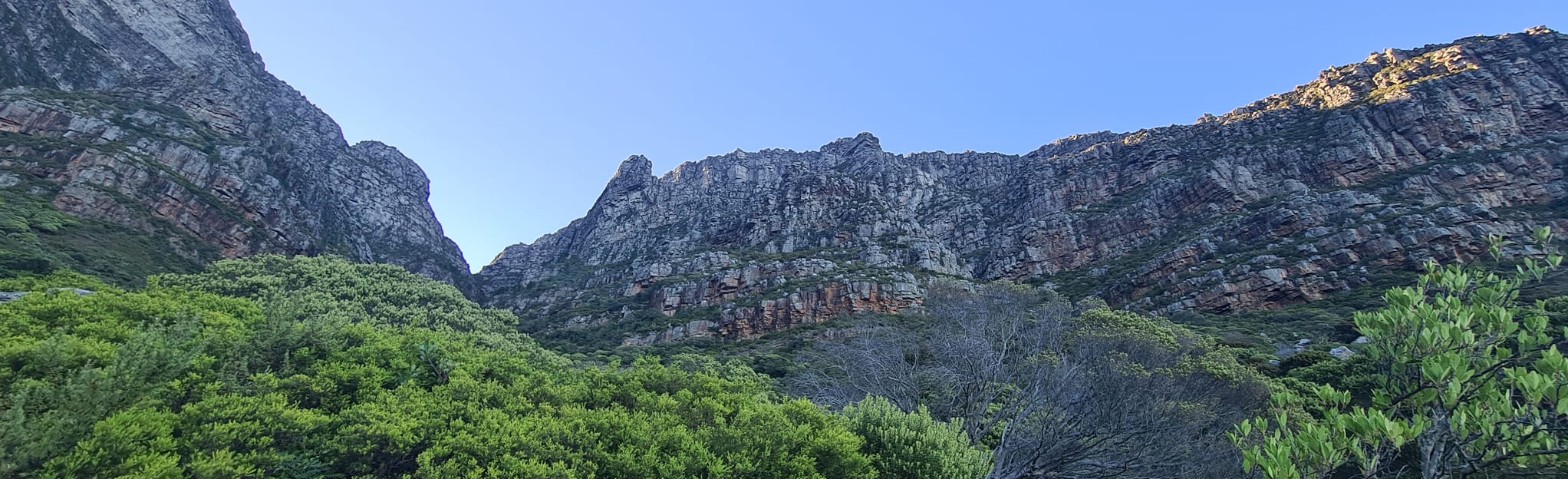 Grotto Ravine: 13 Reviews, Map - Western Cape, South Africa | AllTrails
