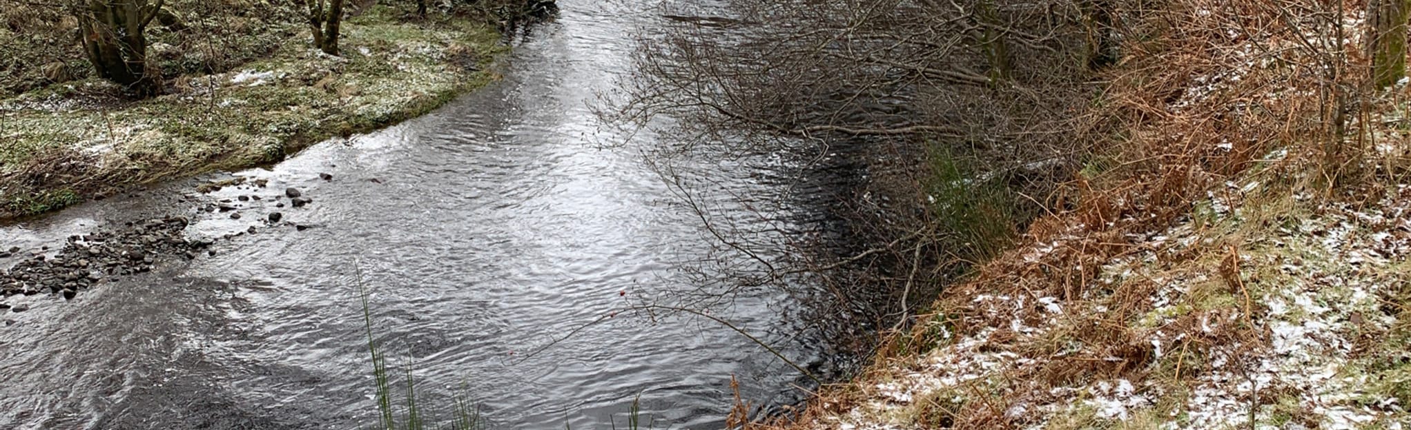 River Carron Trail: 29 Reviews, Map - Falkirk, Scotland | AllTrails