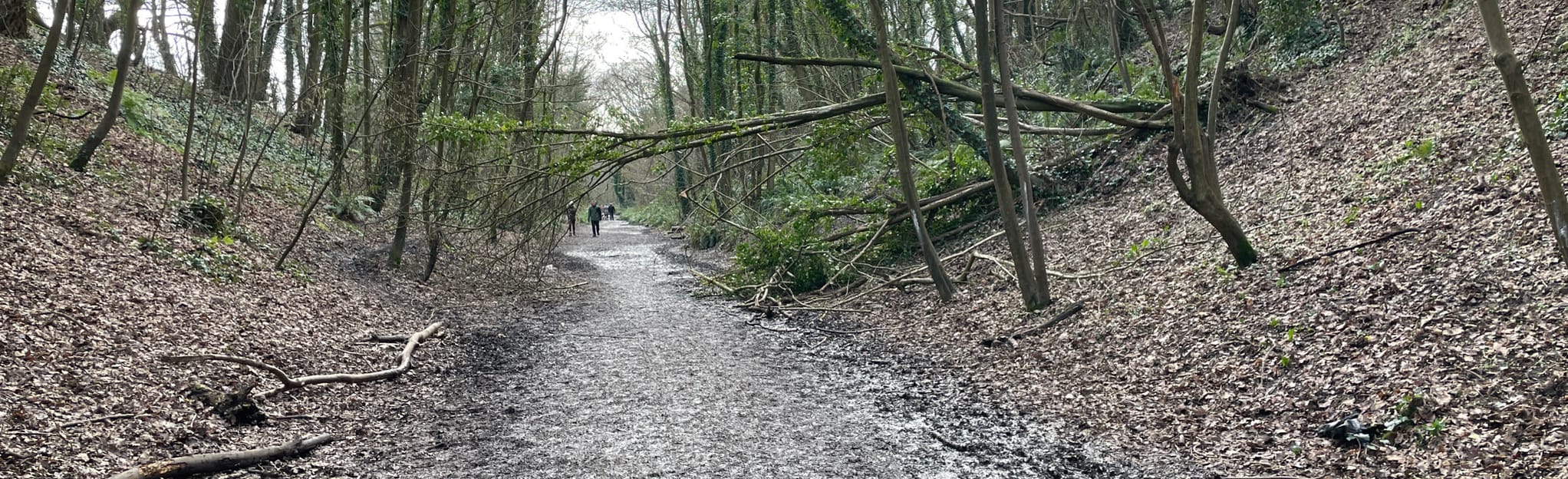 Meon Valley Off Road Cycle Trail, Hampshire, England - 49 Reviews, Map ...