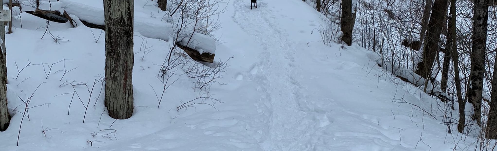 Loggers Loop and Old Tavern Pass Trail: 17 Reviews, Map - Vermont ...