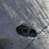 Yucca Canyon to Guadalupe Ridge Trail, New Mexico - 2 Reviews, Map ...