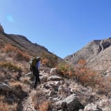 Yucca Canyon to Guadalupe Ridge Trail, New Mexico - 2 Reviews, Map ...