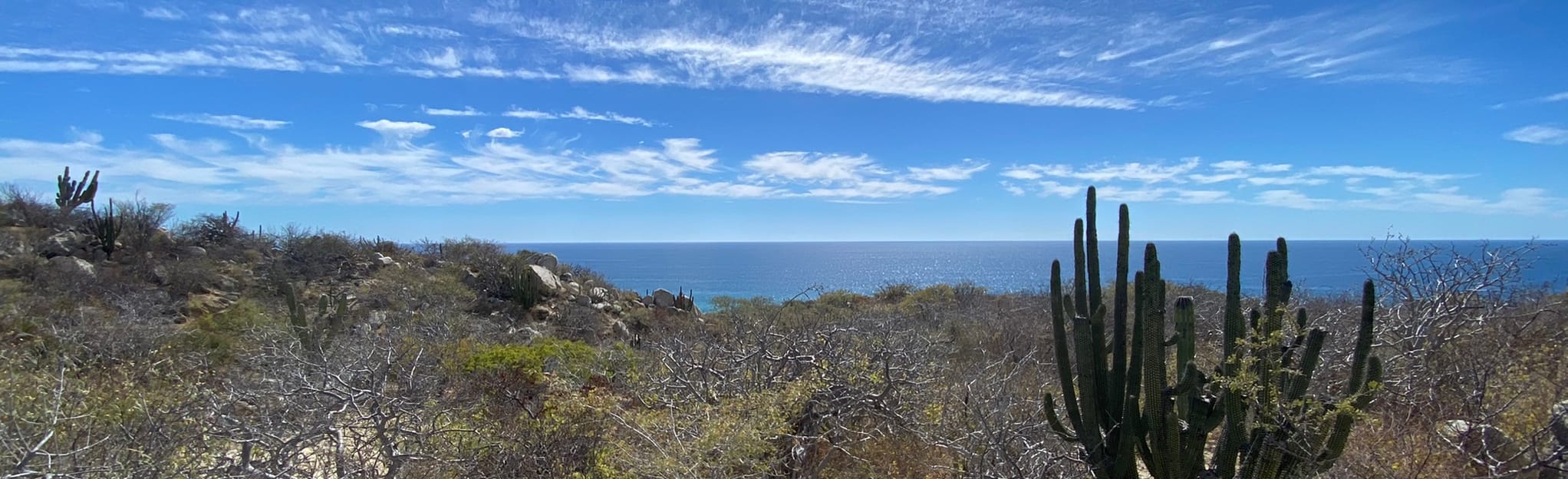 East Cape Trails, Baja California Sur, Mexico - 6 Reviews, Map | AllTrails