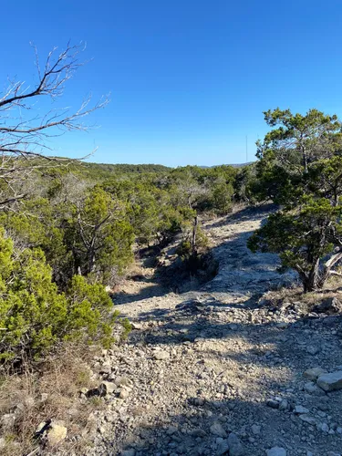 Best Hikes and Trails in Emma Long Metropolitan Park | AllTrails