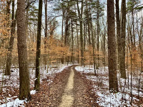 Best Horseback Riding Trails in Mammoth Cave National Park | AllTrails