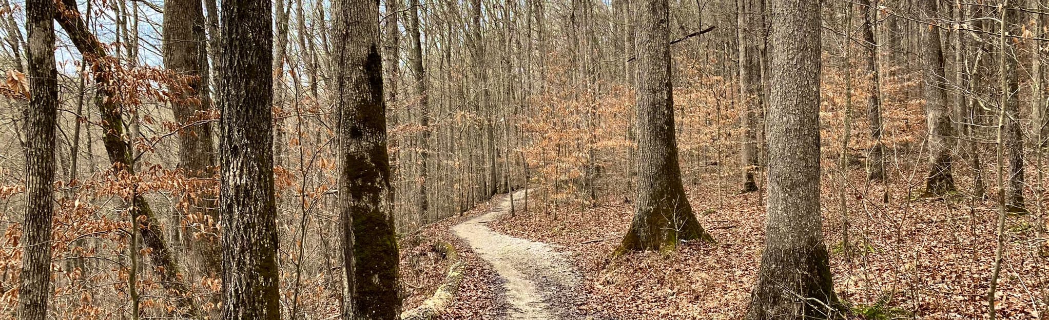 Collie Ridge Loop, Kentucky - 136 Reviews, Map | AllTrails