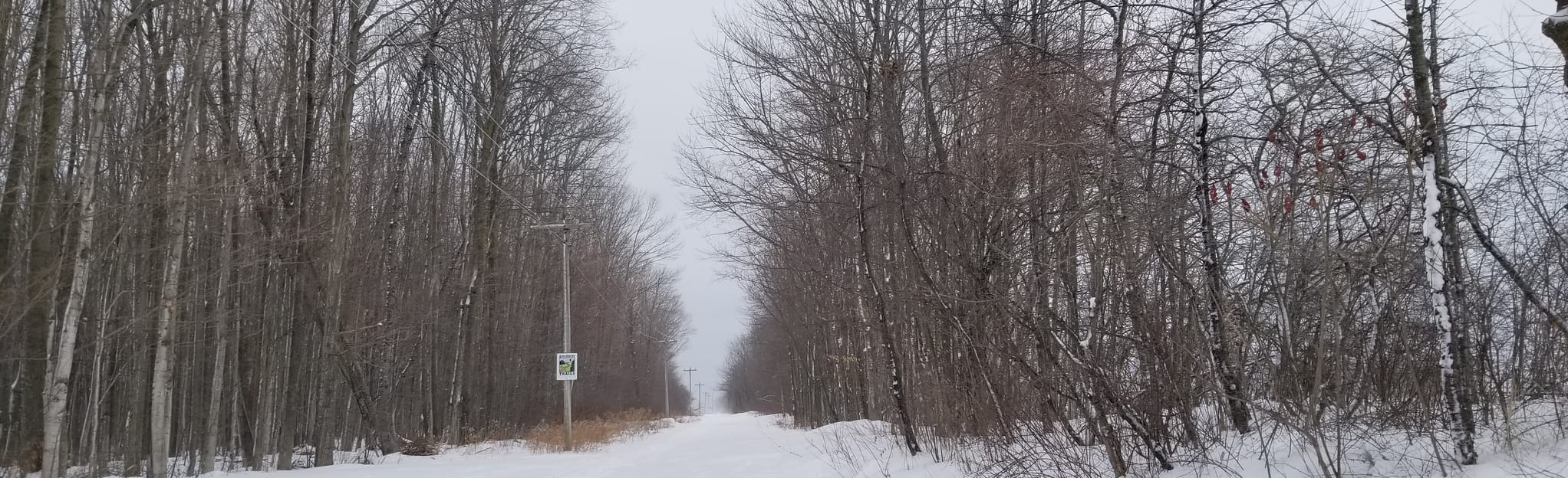 Northline Extension Loop, Ontario, Canada - 50 Reviews, Map | AllTrails