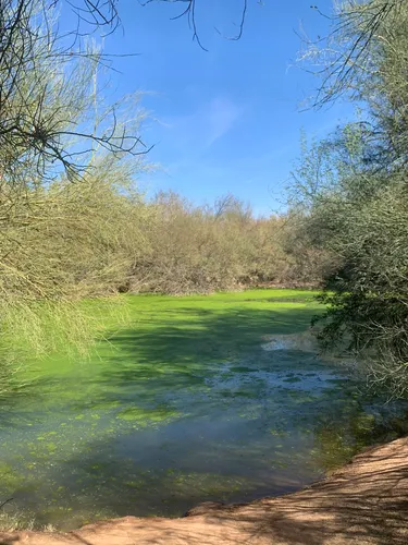 10 Best Trails and Hikes in Paradise Valley | AllTrails