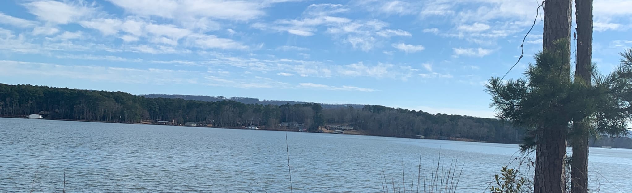 Scottsboro Municipal Park Trail, Alabama - 15 Reviews, Map | AllTrails