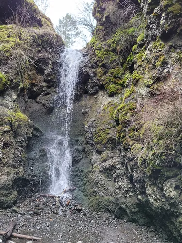 10 Best Trails and Hikes in Spokane | AllTrails