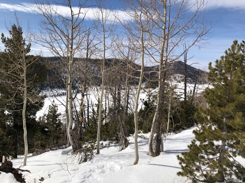 Best Hikes and Trails in Duck Creek Village | AllTrails