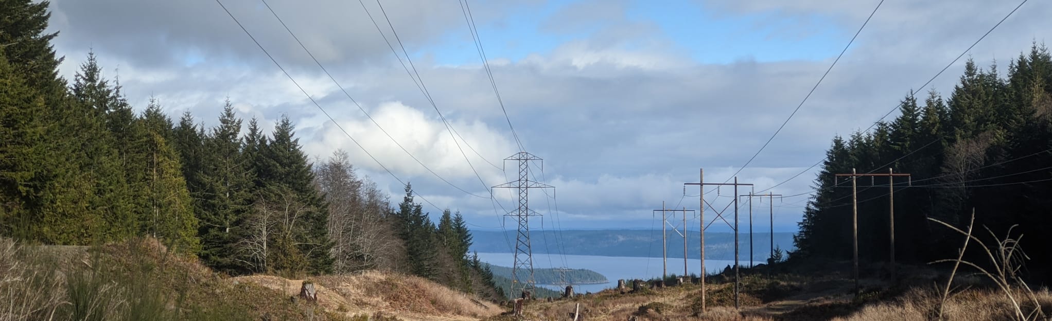 Mount Jupiter Logging Road, Washington - 25 Reviews, Map | AllTrails