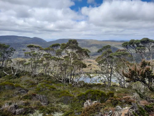 10 Best Hikes and Trails in Mount Field National Park | AllTrails